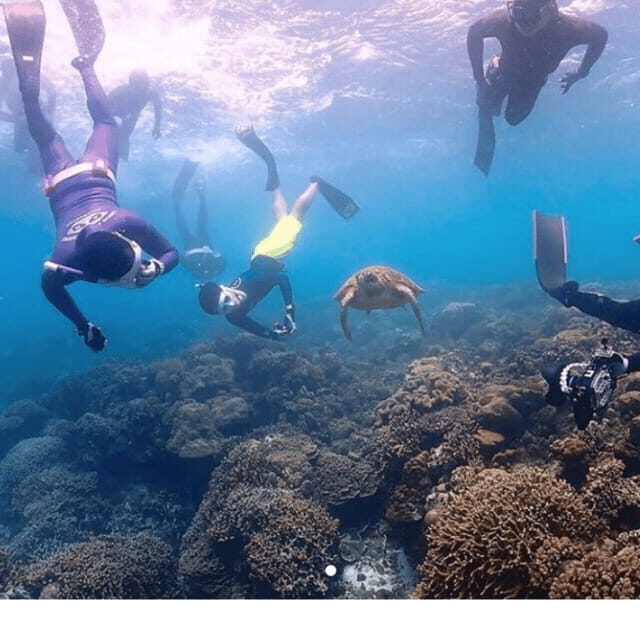 Cebu city to Pescador Island & Kawasan Canyoneering Tour - Key Points