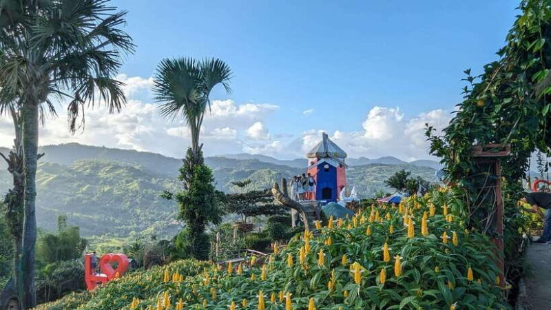 Cebu City with Sirao Garden Half Day Tour - Practical Details: What You Need to Know