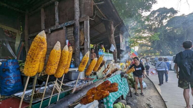 Cebu City with Sirao Garden Half Day Tour - Final Thoughts: Is This Tour Right for You?