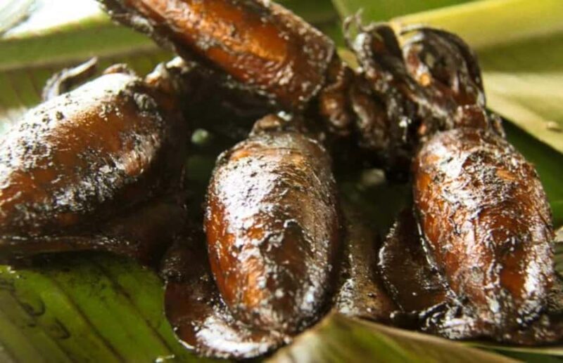 Cebu: Exotic Food and Cultural Tour with Private Vehicle - Who Will Enjoy This Tour?