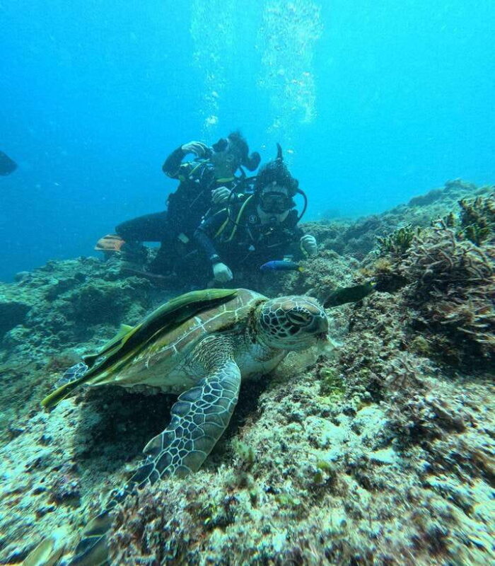 CEBU: Get Two level Certification in one trip (4N5D) - Practical Considerations for Travelers