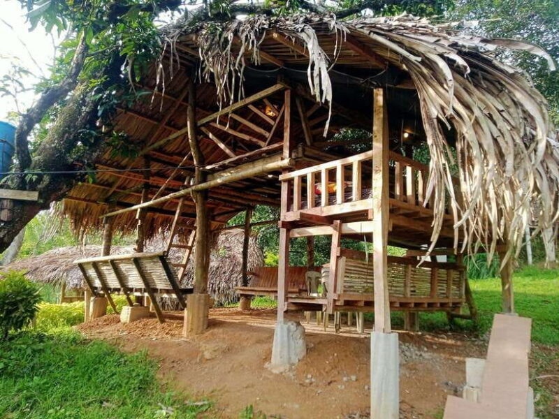 Cebu: Glamping Within Cebu City - Introduction