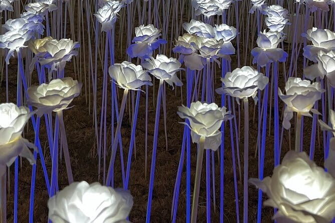 Cebu Group Tour: Best Cebu City Tour - FAQs