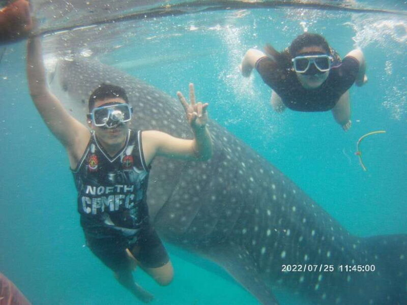 Cebu Group Tour: Whaleshark Watching & Kawasan Canyoneering - Who Is This Tour Best For?