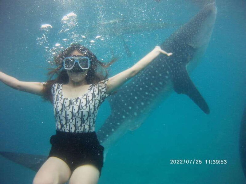 Cebu Group Tour: Whaleshark Watching & Kawasan Canyoneering - FAQs about the Cebu Whaleshark & Canyoneering Tour