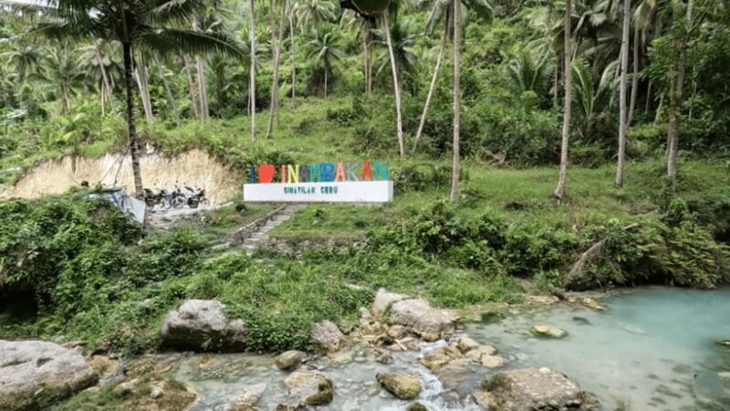 Cebu: Inambakan, Kawasan, and Mantayupan Waterfalls Tour - Price & Value Analysis