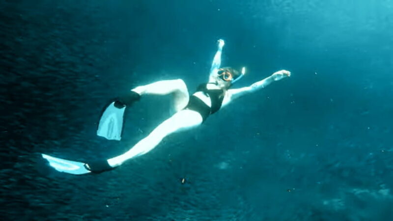 Cebu: Island Hopping Pescador,Sardine Run andTurtle Paradise - FAQ