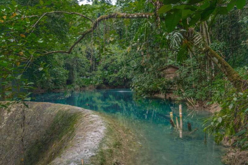 Cebu: Kawasan Falls Canyoneering & Cliff Jump Private Tour - What Makes This Tour Stand Out?