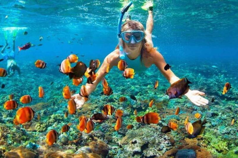 Cebu: Mactan Island Hopping Tour with Snorkeling - The Food: A Highlight in Its Own Right