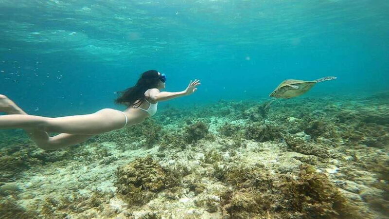 Cebu Moalboal Adventure Combo: Snorkel & Canyoneering +Lunch - A Detailed Look at the Tour Experience