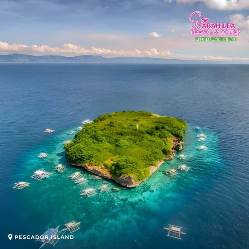 Cebu: Moalboal & Kawasan Canyoneering Adventure - Key Points