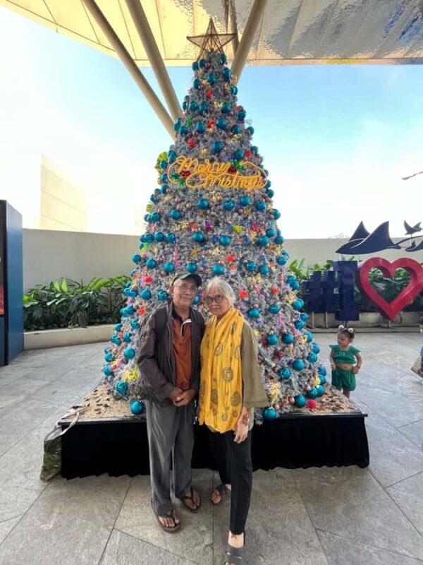 Cebu: Moalboal Sardine Run and Snorkeling Tour - Key Points