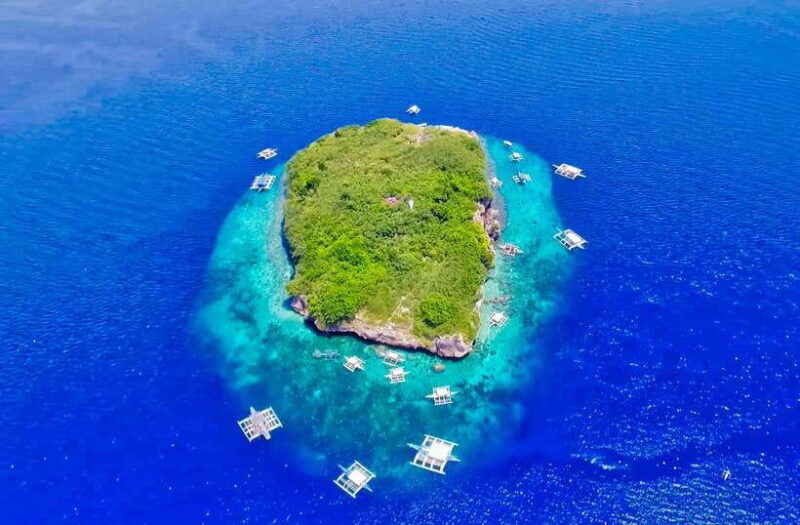 Cebu: Moalboal Sardines and Turtles Snorkeling Tour - An Overview of the Cebu Moalboal Snorkeling Tour