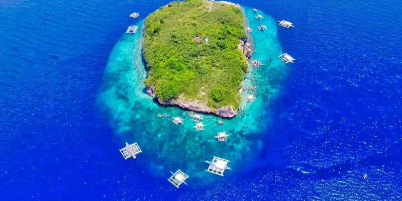 Cebu: Moalboal Sardines and Turtles Snorkeling Tour - Pricing and Value