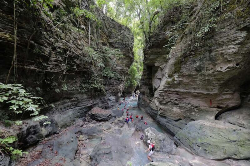 Cebu: Moalboal Sardines Run & Kawasan Falls Canyoneering - A Balanced Look at the Moalboal Sardines Run & Kawasan Canyoneering Tour