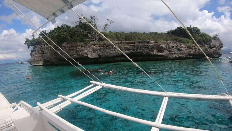 Cebu: Moalboal Scuba Diving, Sardines Run & Pescador Snorkel - Who Should Consider This Tour?