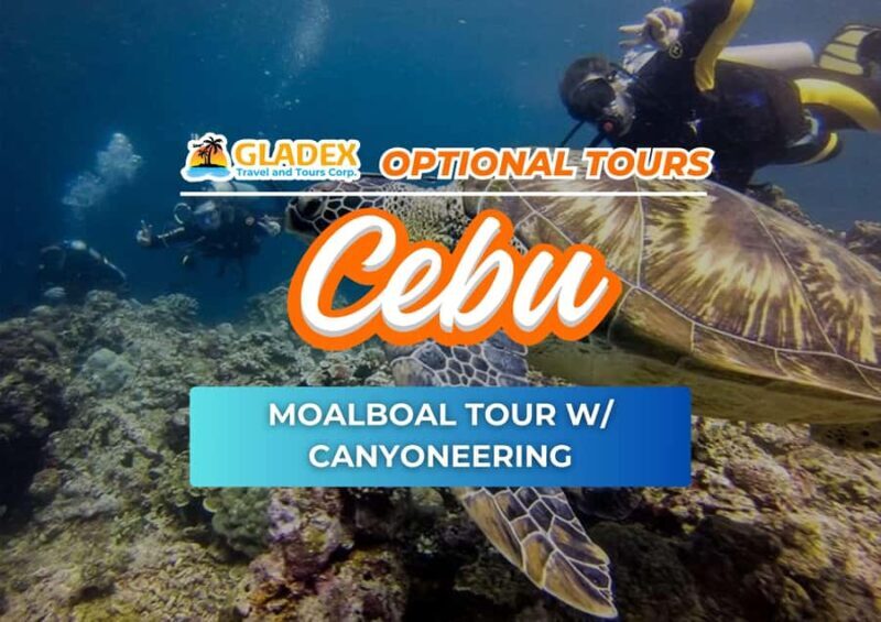 Cebu: Moalboal Tour with Canyoneering - What to Expect at Each Stop