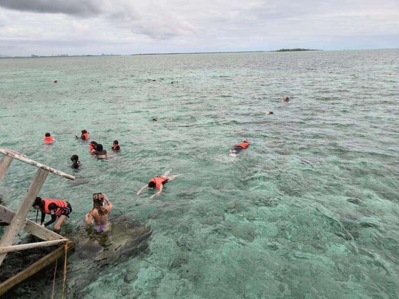 Cebu Nalusuan Island & Marine Sanctuary | Joiners Tour - FAQ