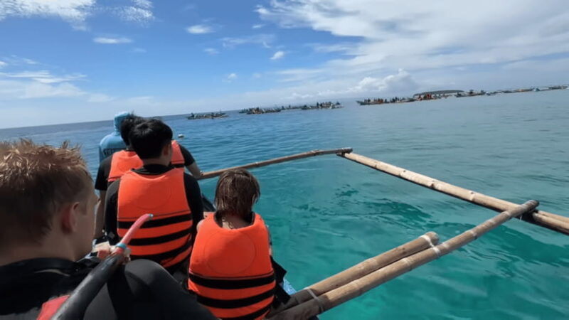 Cebu: Oslob Whale Shark and Moalboal Snorkeling Tour - The Sum Up