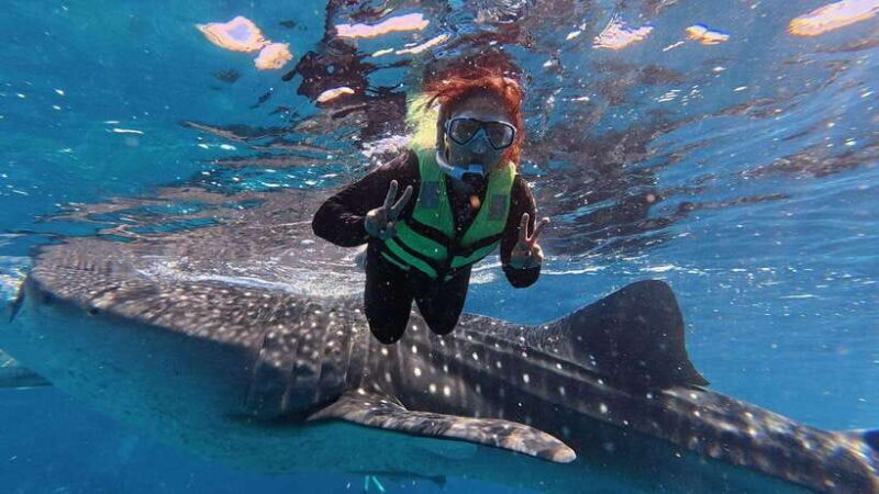 Cebu: Oslob Whale Shark Encounter & SUMILON with Transfers - Authentic Experiences and Tips for Travelers
