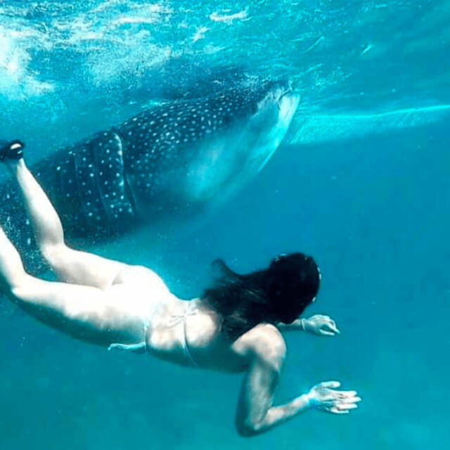 Cebu: Oslob Whale Shark, Sumilon, Ruins, Simala Church - A Detailed Look at the Tour Experience
