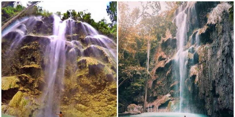 Cebu: Oslob Whale Shark Swim and Sumilon Island Day Tour - FAQs about the Cebu Oslob Whale Shark Swim and Sumilon Island Tour