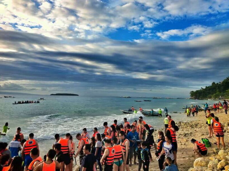 Cebu: Oslob Whale Shark Swimming - Who This Tour Suits Best