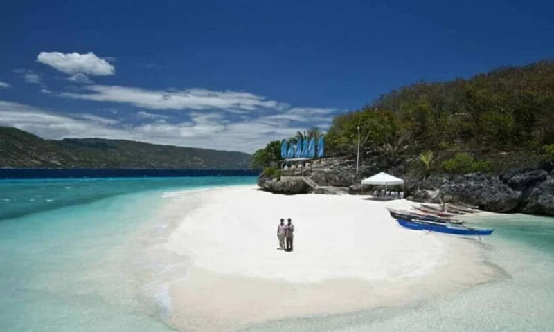 Cebu: Oslob Whale Shark, Tumalog Falls, and Sumilon Sandbar - The Sum Up