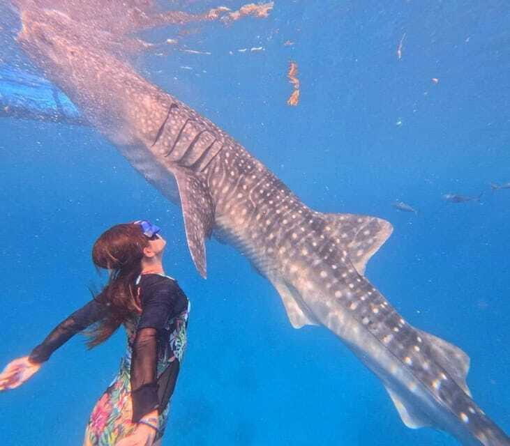 Cebu: Oslob Whale Shark Watching and Badian Canyoneering - The Value of the Tour
