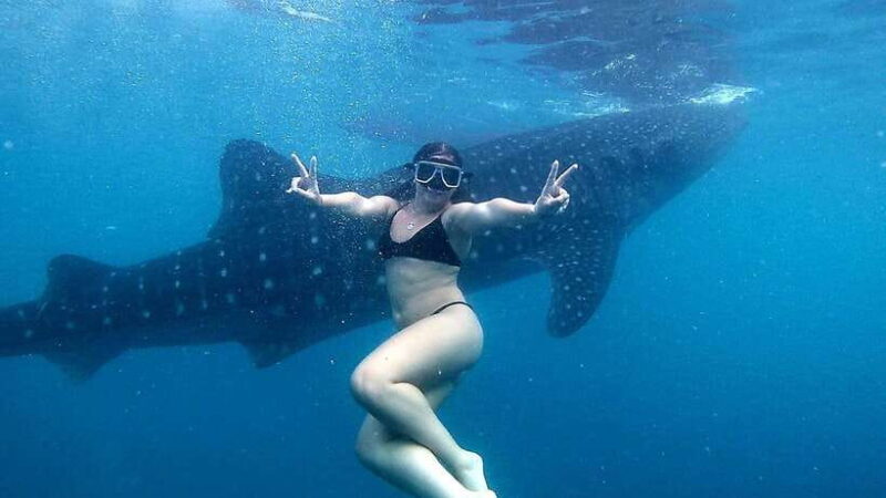 Cebu: Oslob Whale Shark Watching Tour with Hotel Transfer - An Honest Look at the Oslob Whale Shark Watching Experience