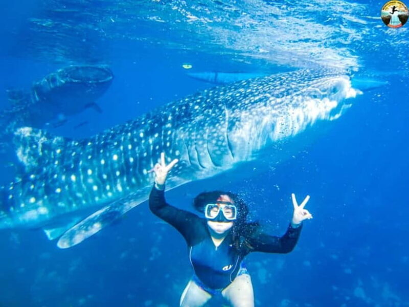 Cebu: Oslob Whale Sharks & Kawasan Canyoneering Group Tour - Key Points