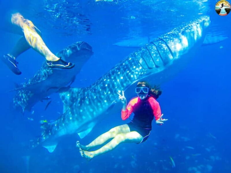 Cebu: Oslob Whale Sharks & Kawasan Canyoneering Group Tour - Who Is This Tour Best For?
