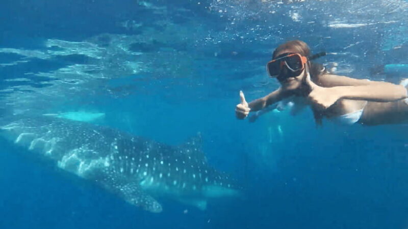 Cebu: Oslob Whaleshark & Canyoneering Group Tour with Lunch - An In-Depth Look at the Tour