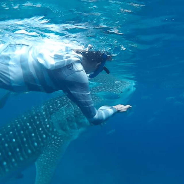 Cebu: Oslob Whaleshark Experience Shared Tour - The Experience: Pros & Cons