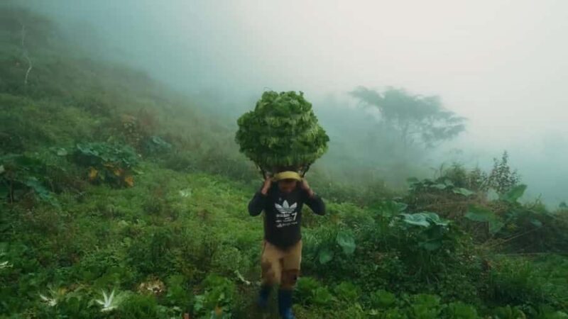 Cebu: Osmeña Peak and Kawasan Canyoneering Day Tour - FAQ