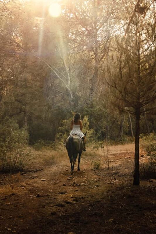 Cebu, Philippines: Mountain Heritage Horseback Ride - The Itinerary Breakdown