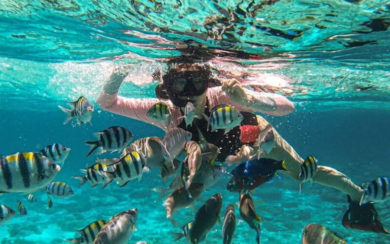 Cebu: Private Mactan Island Hopping Tour with Lunch - Key Points