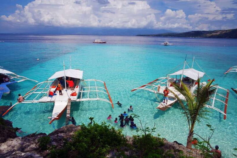 Cebu: Private Sumilon Island & Optional Whale Shark Swim - Who Is This Tour Best For?