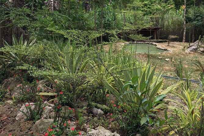 Cebu Safari and Adventure Park - FAQ: Common Questions About the Cebu Safari and Adventure Park Tour