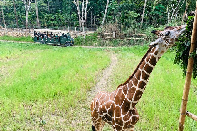Cebu Safari Journeys - Discovering Cebu Safari Journeys: The Practical Breakdown