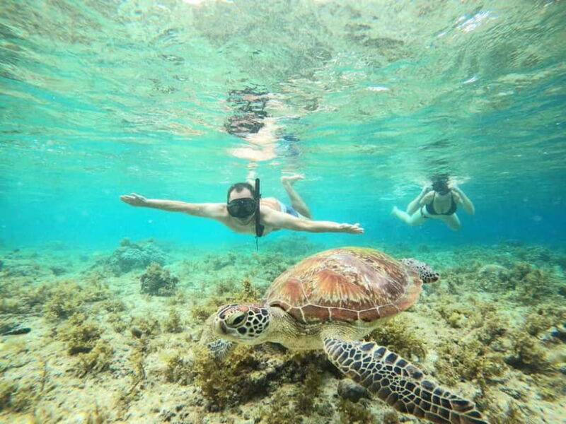 Cebu: Sardine Run Snorkeling, Mantayupan Falls & ATV Thrills - An Overview of the Experience