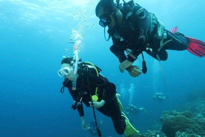 Cebu: Scuba Diving Experience beach entry in Mactan - Introduction to the Cebu Beach Entry Scuba Tour