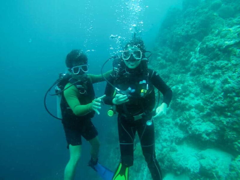 Cebu: Scuba Diving with Sardines and Pescador Island Snorkel - What We Liked and What to Consider