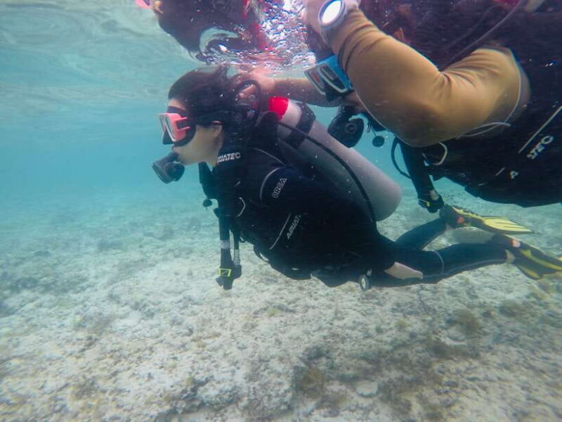 Cebu: Scuba Diving with Sardines and Pescador Island Snorkel - Is This Tour Right for You?