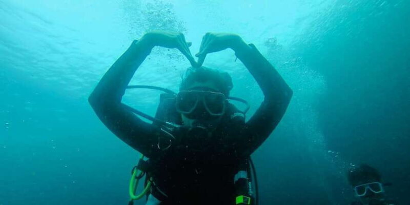 Cebu: Scuba Diving with Whale Sharks Trip in Oslob - Who Should Consider This Tour?