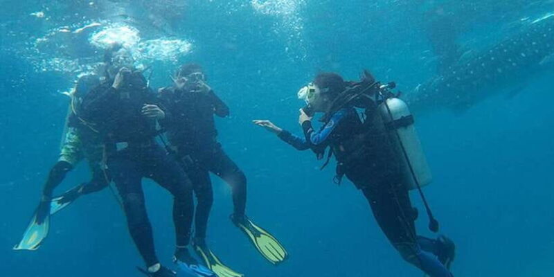 Cebu: Scuba Diving with Whale Sharks Trip in Oslob - Final Thoughts