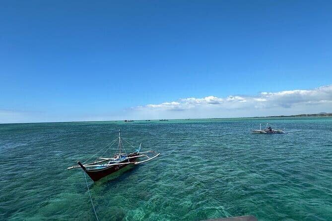 Cebu Shared Tour From Whaleshark Encounter to Nature Adventure - FAQs