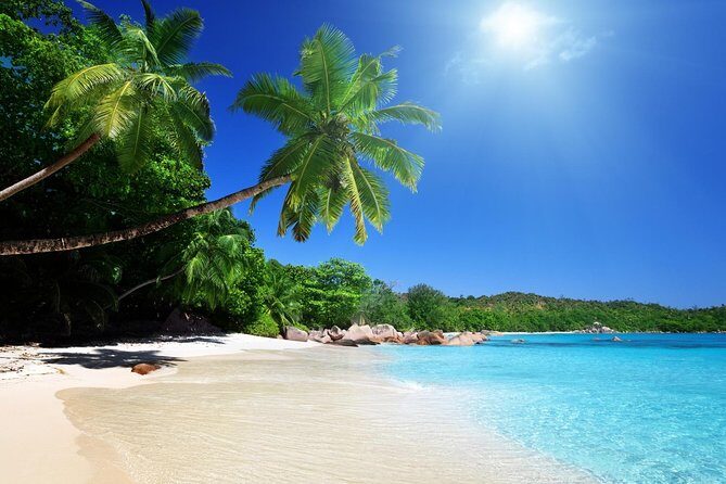 Cebu to Bohol: 2D and 1N with Bohol Tour and Firefly Tour - How the Experience Comes Together