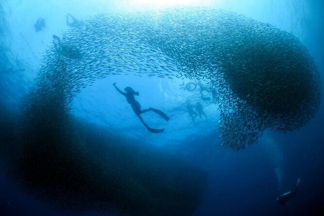 Cebu Tour Package 3D2N - Key Points