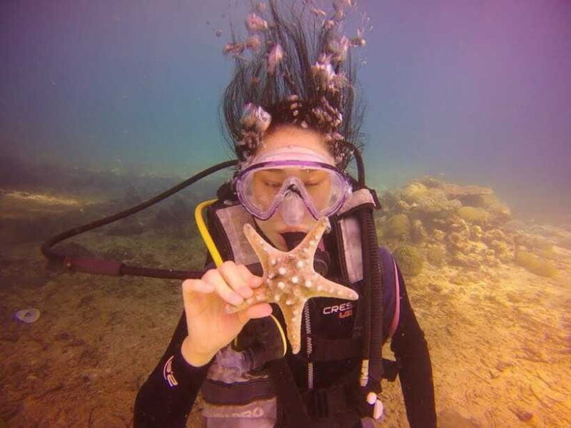 CEBU: Try diving & souvenir underwater photo - Who Will Love This Tour?